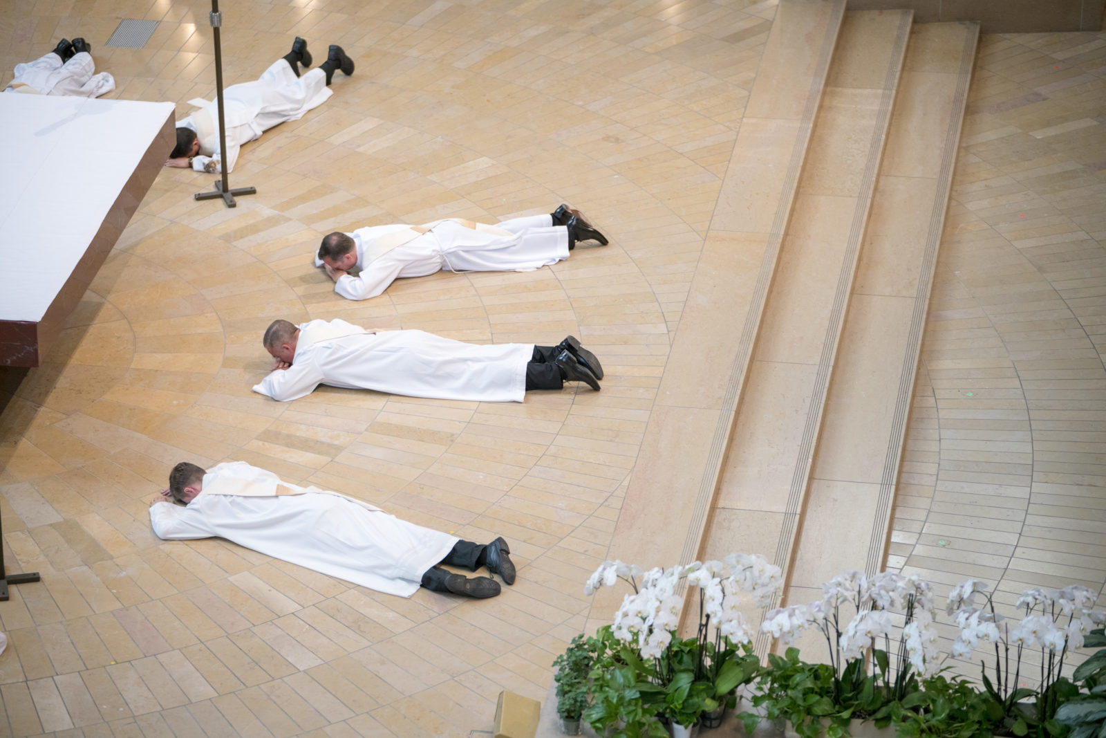 Vocations in LA | LA Catholics