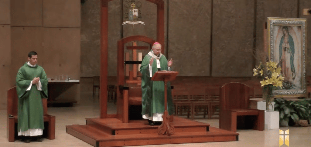 Homily | LA Catholics