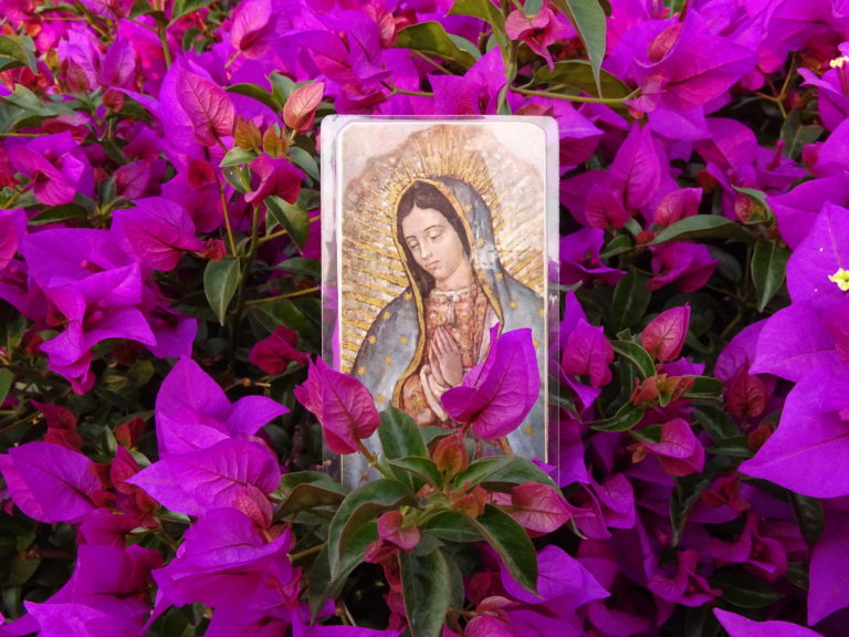 #GuadalupeLA | LA Catholics