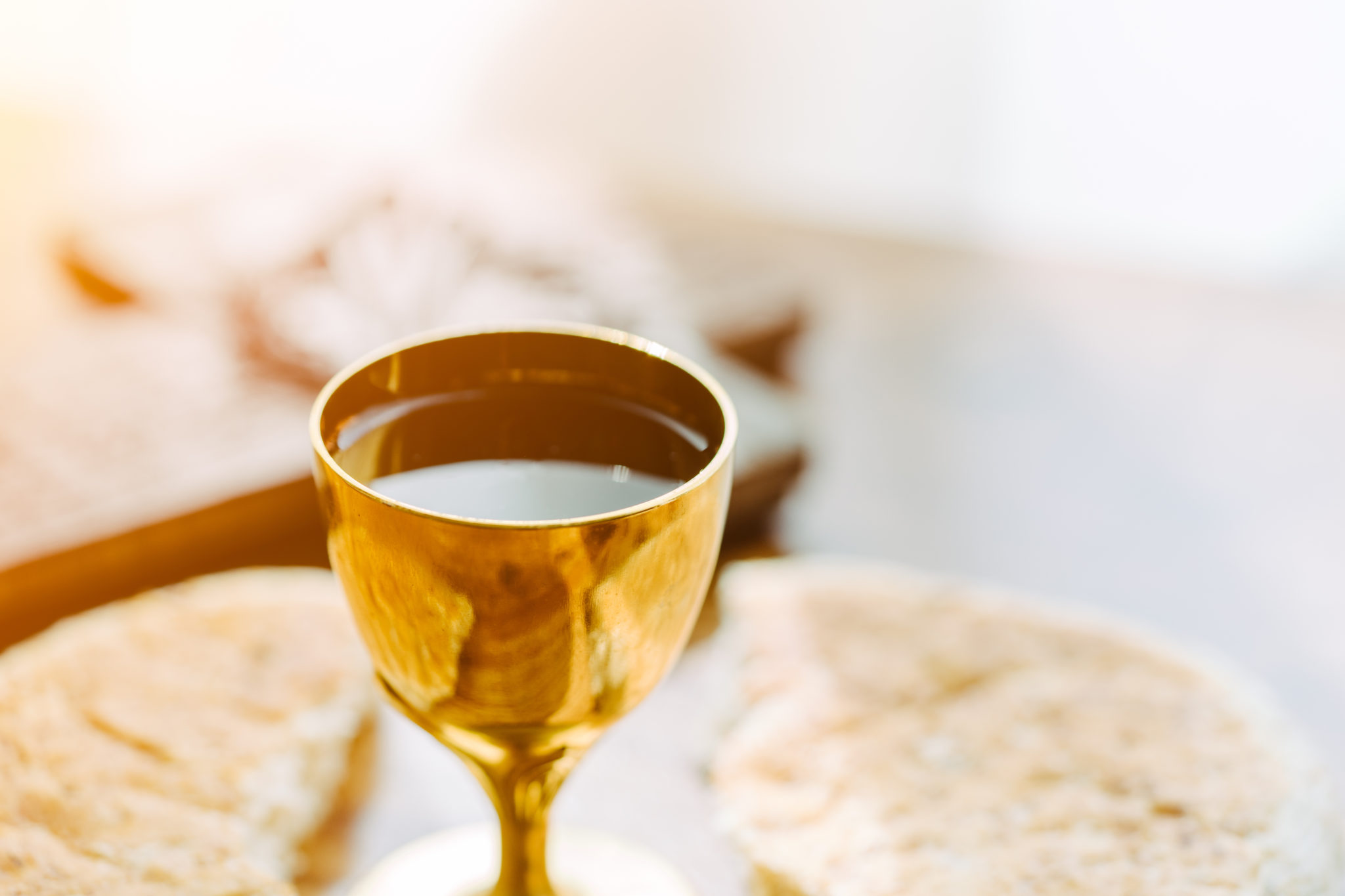 Extraordinary Ministers of Holy Communion Formation | LA Catholics