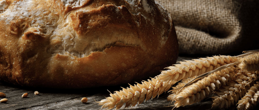 Mardi Gras | LA Catholics